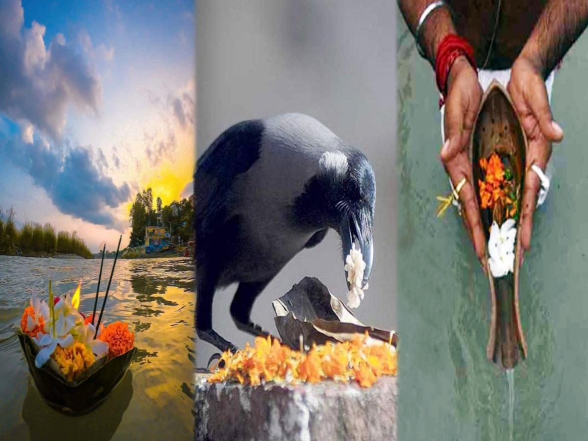 मृत्यू पंचकात पितृपक्ष २०२५: ‘या’ ७ तिथींना अधिक महत्त्व; पाहा, पितृ पंधरवड्याच्या मान्यता ...