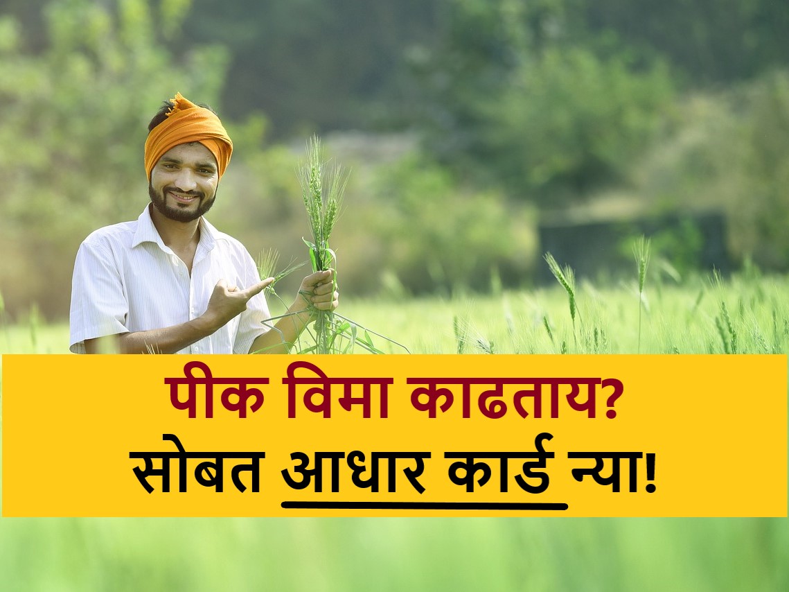 Pik Vima: पीक विमा योजनेत यंदा आधार कार्ड बंधनकारक का करण्यात आले ...