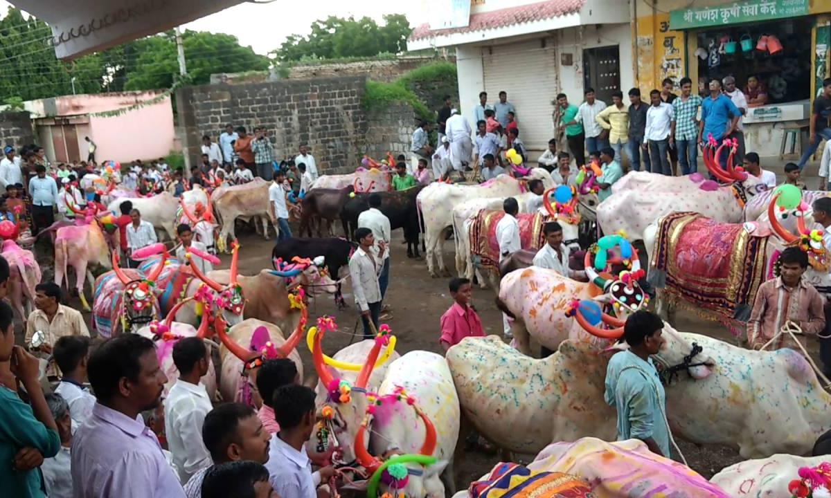 यंदा पोळा भरणार नाही : जिल्हाधिकाऱ्यांनी काढले आदेश Nagpur Marathi News ...