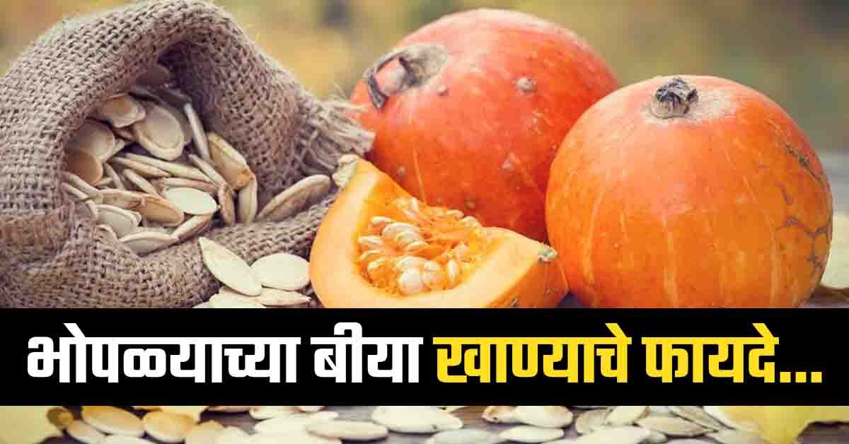 भोपळ्याच्या बीया खाण्याचे फायदे वाचून व्हाल अवाक्, एकदा खाऊन बघाच ...