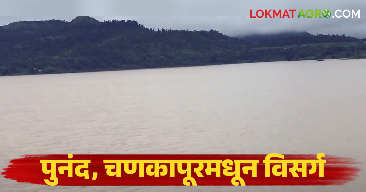 Nashik Dam Storage : पुनंद, चणकापूर धरणातून मोठा विसर्ग; नदीकाठावरील ...