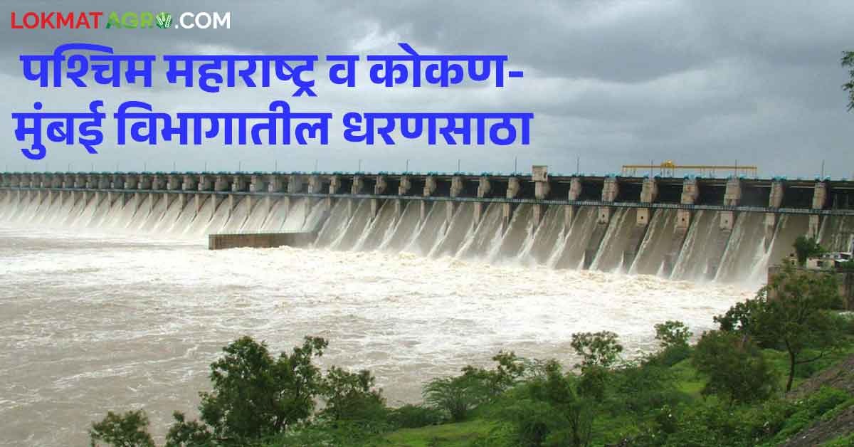 Maharashtra Dam Storage : मुंबईतील तीन धरणं शंभर टक्के, पश्चिम ...