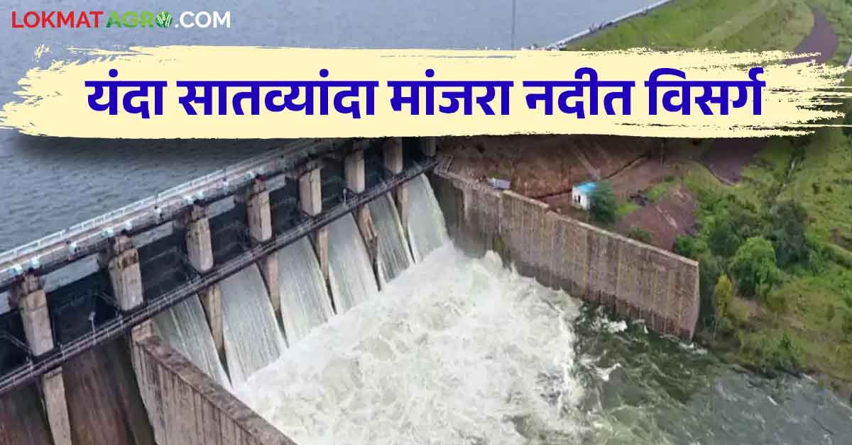 Manjra Dam Water Release : धरणाचे पुन्हा ४ दरवाजे उघडले; यंदा ...