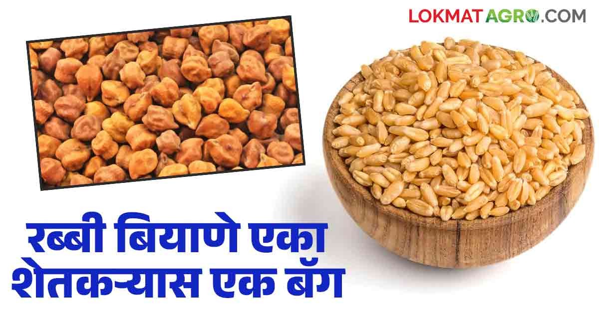 farmer register online for rabi crops seeds
