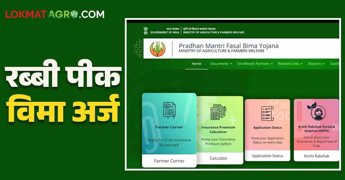 Rabbi Crop Insurance Application Form : रब्बी पिक विमा अर्ज कसा करायचा ...