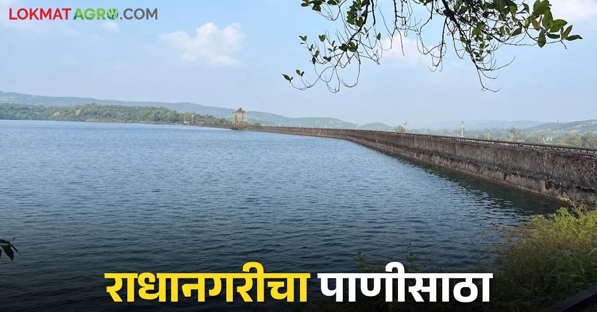 Radhanagari Dam Water : कोल्हापूर जिल्ह्यासाठी वरदान असणाऱ्या राधानगरी ...
