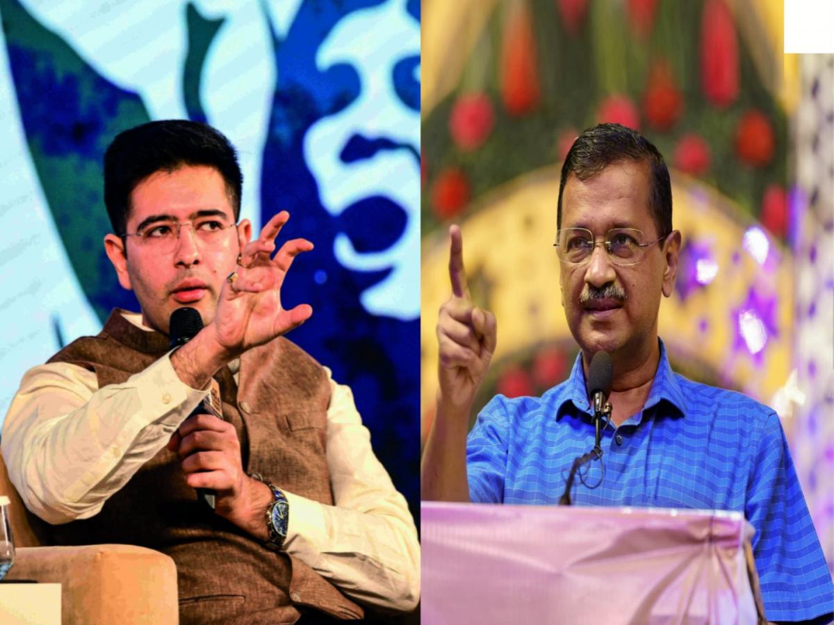 राज्यसभेत सर्वसामान्यांचा आवाज असलेल्या राघव चड्ढा यांचे शिक्षण किती ...