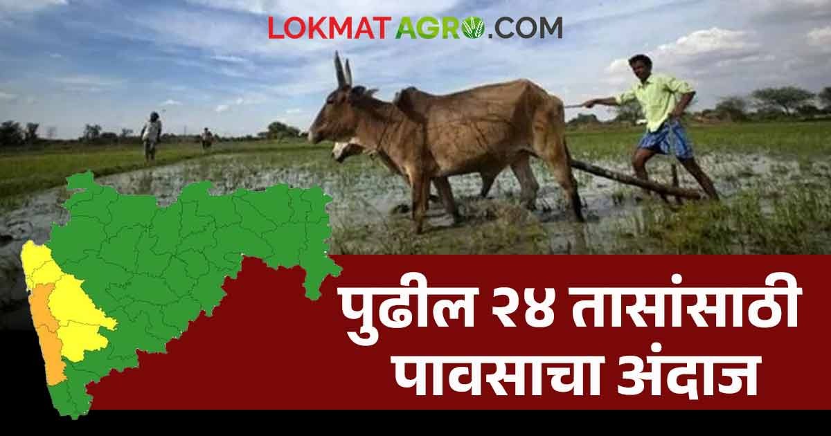 पुढील 24 तास 'या' जिल्ह्यांना मुसळधार पावसाचा इशारा, वाचा सविस्तर ...