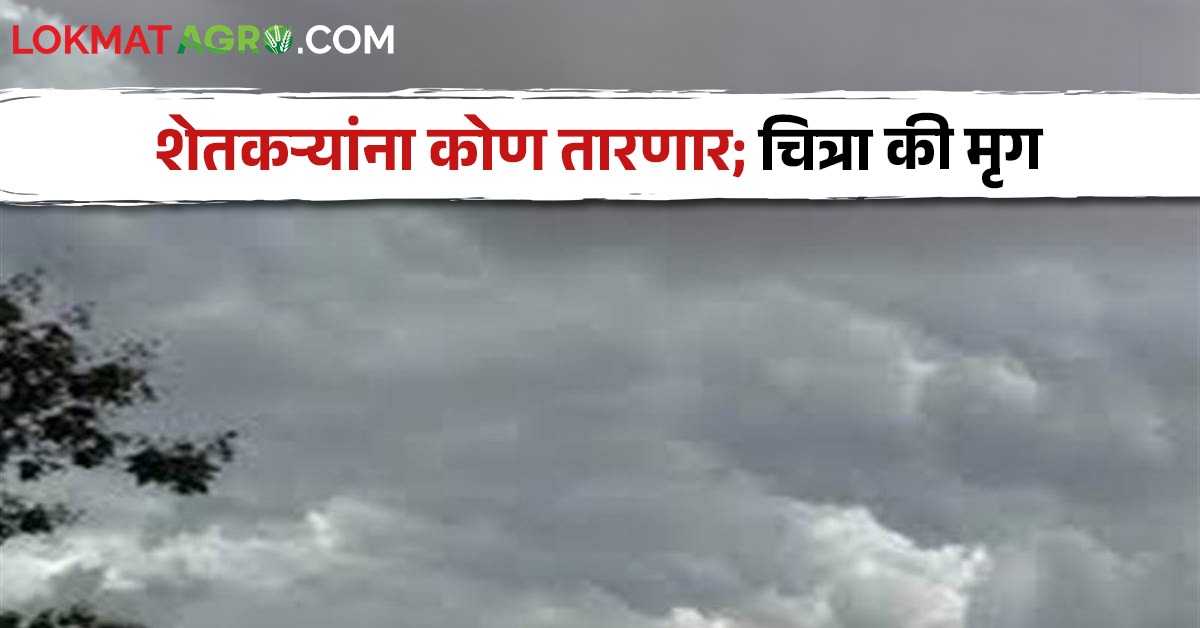 मृगाचा कोल्हा, चित्राची म्हैस; शेतकऱ्यांना यंदा पावसाळ्यात कोणते ...
