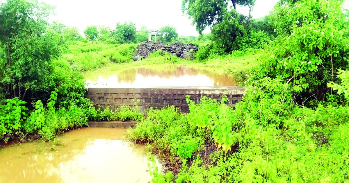 आभाळ फाटलं; ढगफुटी सदृश्य पावसाने मूग, उडीदाचा झाला चिखल, हातचे पिक ...