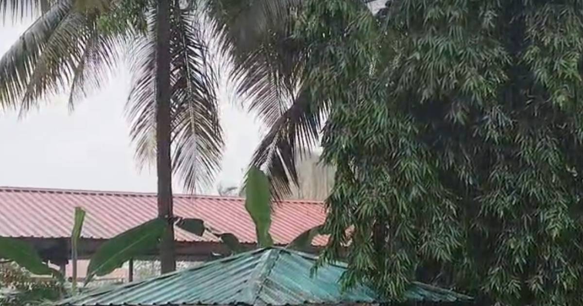 Rain Update : रत्नागिरीत सकाळपासूनच जोरदार, मुंबईत तुरळक पाऊस; राज्यात पुढील काही दिवस मुसळधार ...