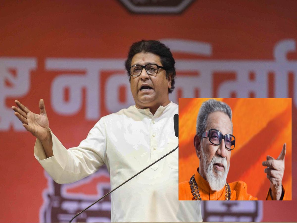 Raj Thackeray: "माझ्याकडे निशाणी, नाव असलं काय - नसलं काय; मला ...
