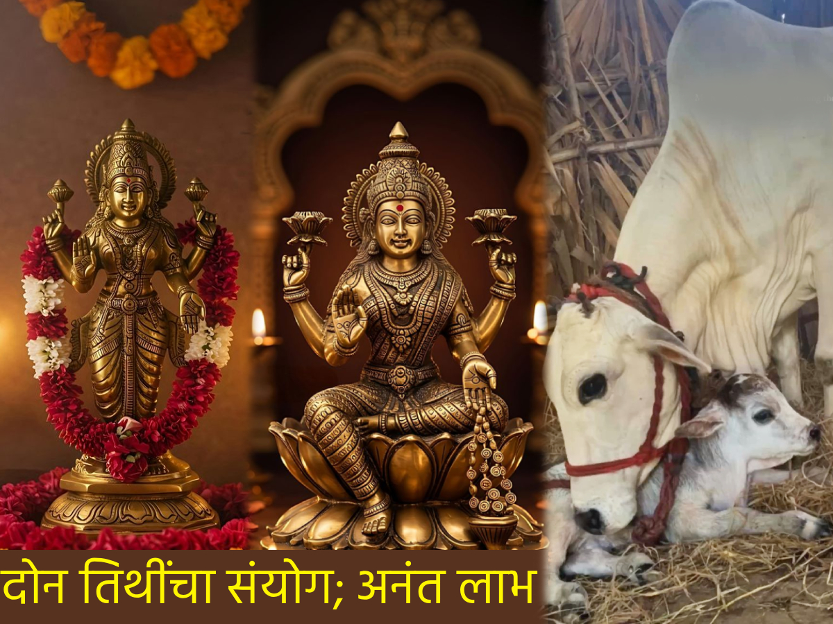 Vasubaras 2025: रमा एकादशी आणि वसुबारस (गोवत्स द्वादशी) एकत्र; कशी ...