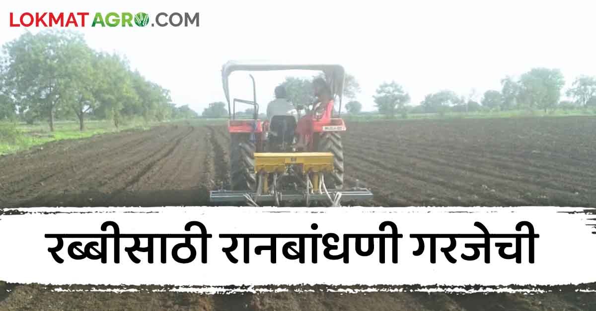 Rabbi Season : शेतकऱ्यांनो! रब्बी बागायती पिकांसाठी रानबांधणी कशी कराल ...