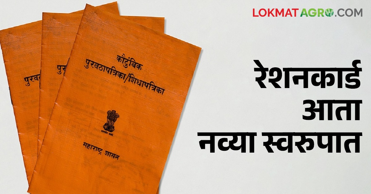 Ration Card कागदी रेशनकार्ड होणार आता इतिहासजमा; मिळणार आता ई ...