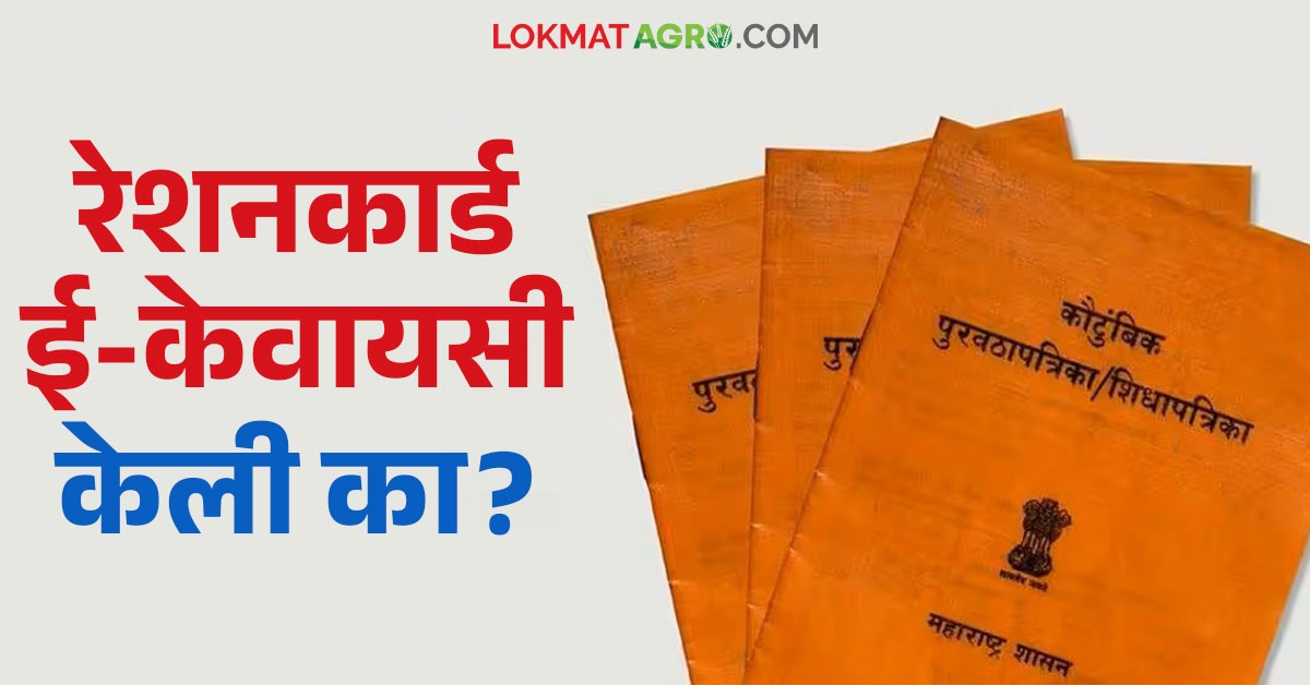 Ration Card : रेशनकार्डमधून या ग्राहकांची नावे वगळणार; जाणून घ्या ...