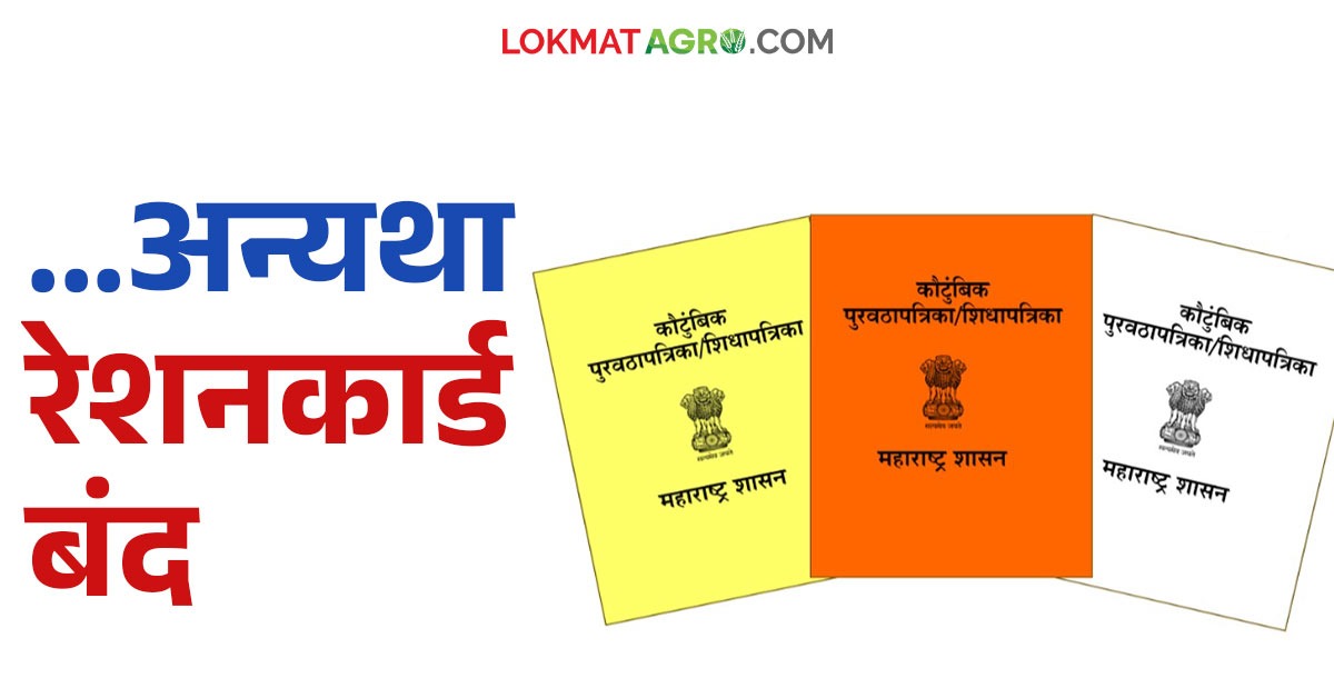 हा पुरावा देणे बंधनकारक नाहीतर रेशनकार्ड होणार बंद; राज्य शासनाचे आदेश ...