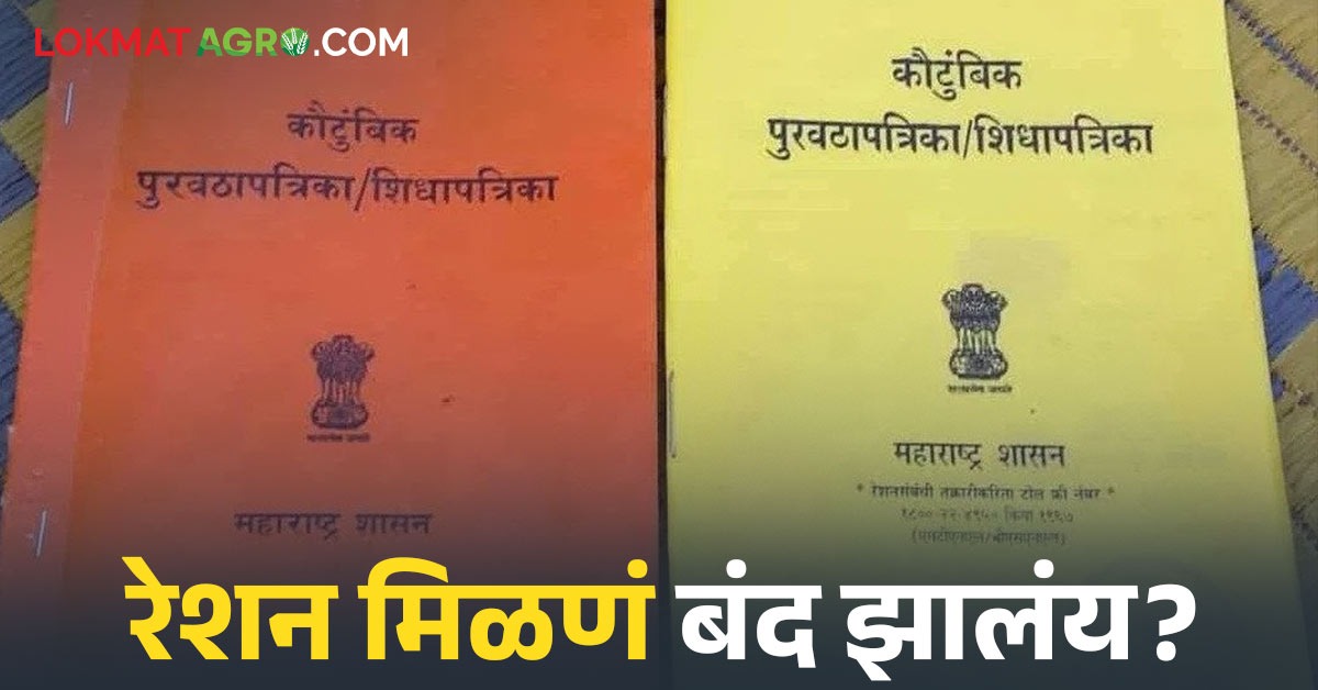 Ration Card : रेशनकार्ड रद्द होऊन धान्य मिळणं बंद झालंय? पुन्हा सुरु ...