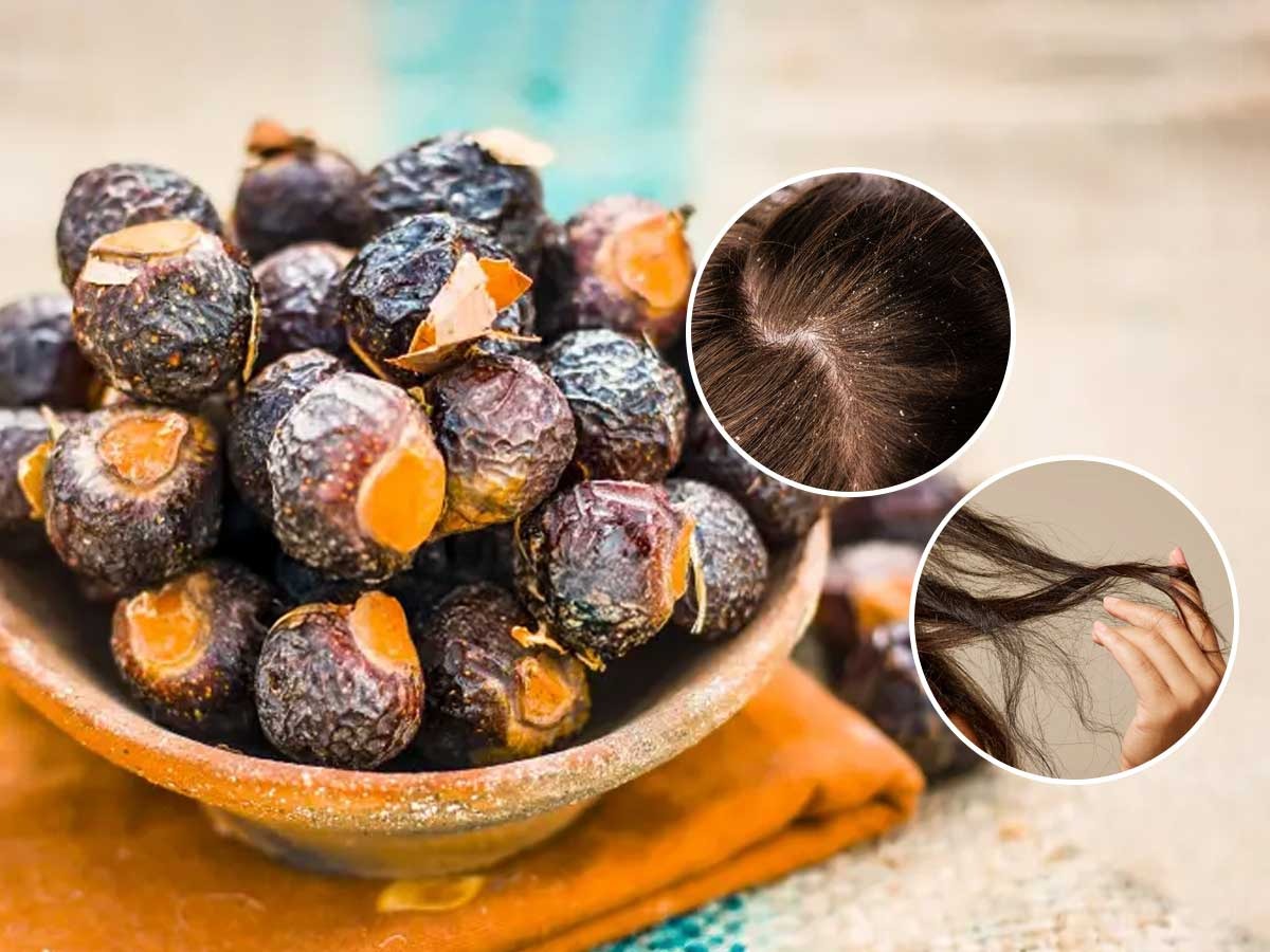 रिठ्याचे हे उपयोग माहिती आहेत का ? पार्लर आणि रासायनिक प्रॉडक्ट्स नकोच ...