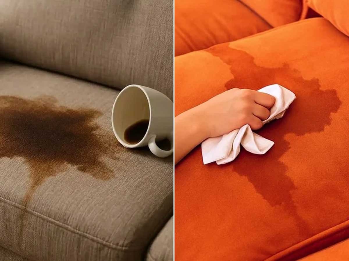 Remove Coffee Stain From Couch