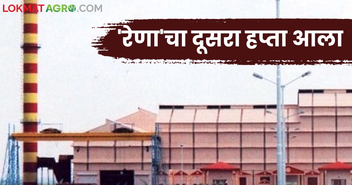 'रेणा'कडून ऊस उत्पादकांना दिलासा; दुसरा हप्ता शेतकऱ्यांच्या खात्यावर ...