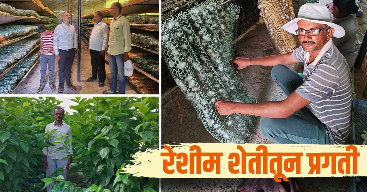 Reshim Sheti Success Story : रेशीम व्यवसायातून हा जिगरबाज युवा शेतकरी ...