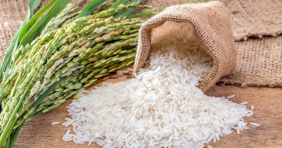 तांदळाचा तुटवडा पडणार! १५ वर्षात पहिल्यांदाच मोठ्या प्रमाणात दर वाढले ...
