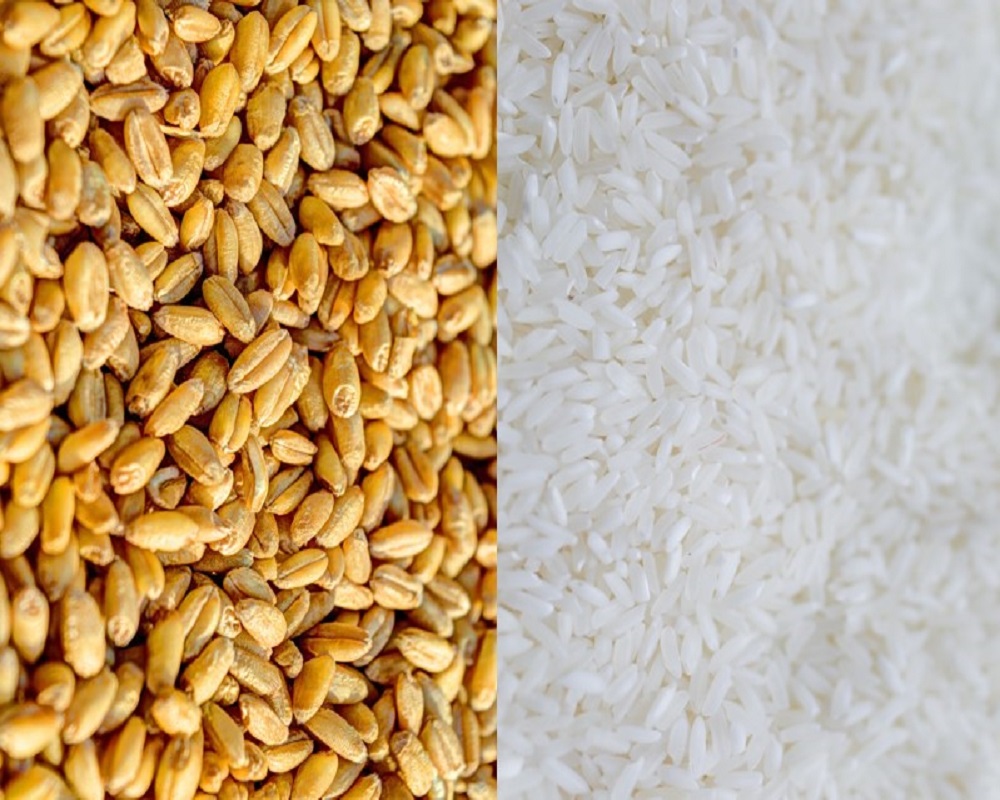 भारतीय अन्न महामंडळाकडून गहू आणि तांदळाचा ई-लिलाव | E-Auction of Wheat ...