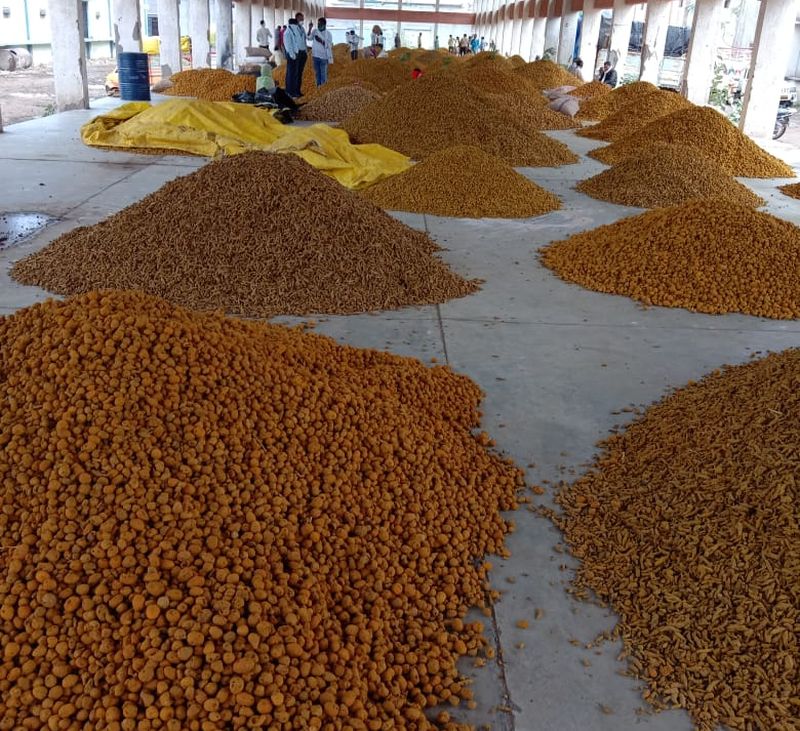 रिसोड बाजार समितीत आता आठवड्यातून दोन वेळा हळद खरेदी Vashim Marathi ...