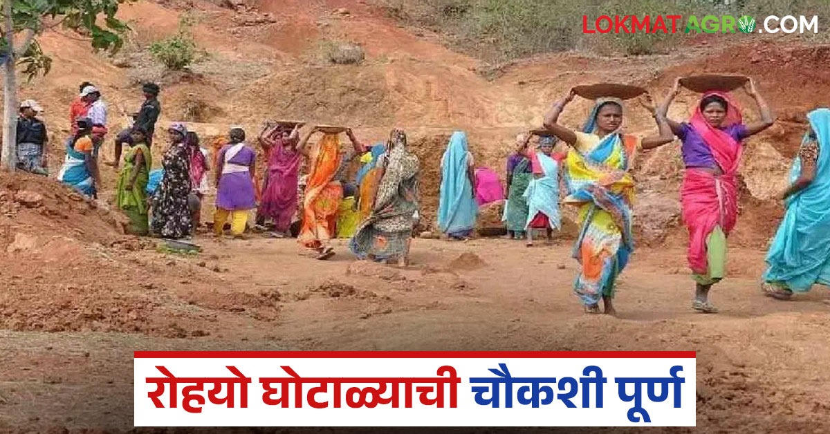 latest news Investigation into Rohyo scam complete; report submitted to CEO