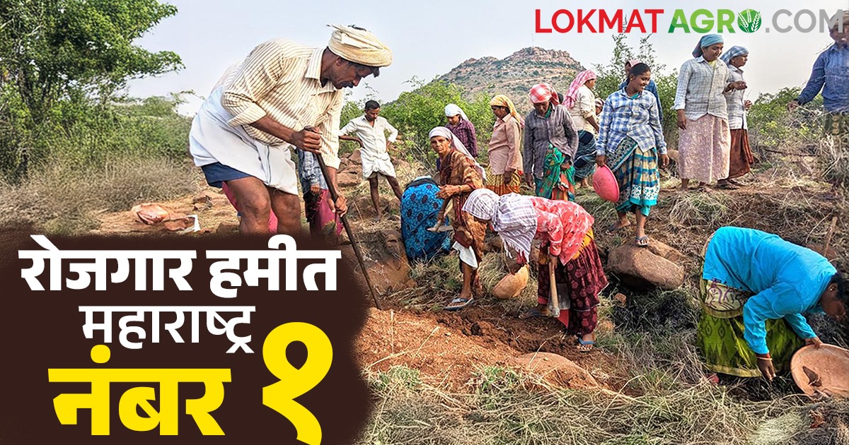 Rojgar Hami Yojana : ग्रामीण रोजगार हमी योजनेअंतर्गत महाराष्ट्राने ५ ...
