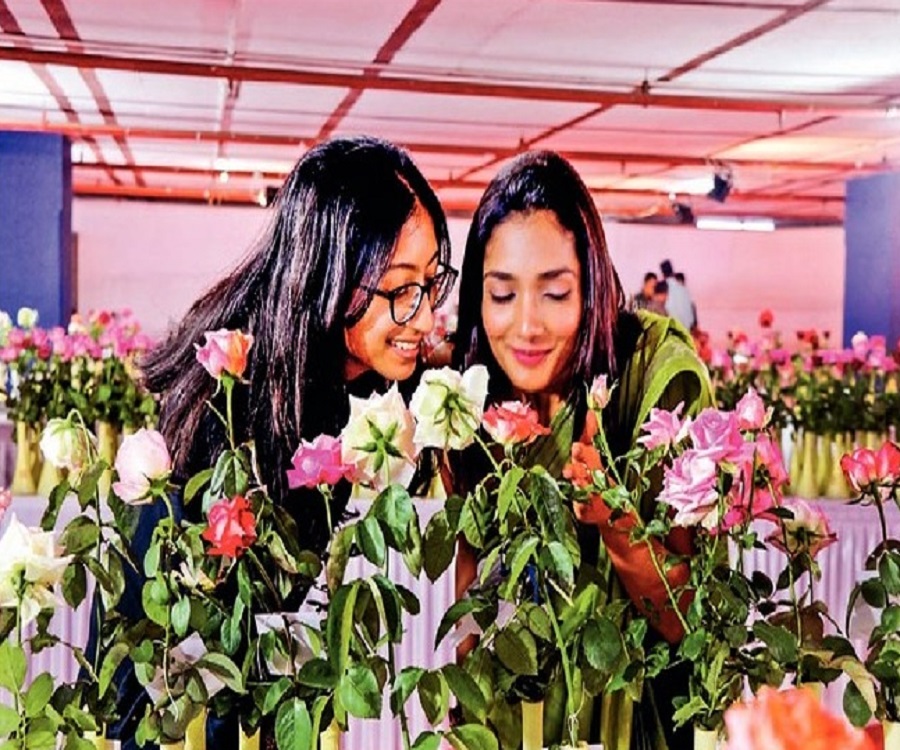 ३०० प्रजातींचे १ हजार गुलाब! पुणे येथे गुलाब प्रदर्शनाचे आयोजन | 1 ...