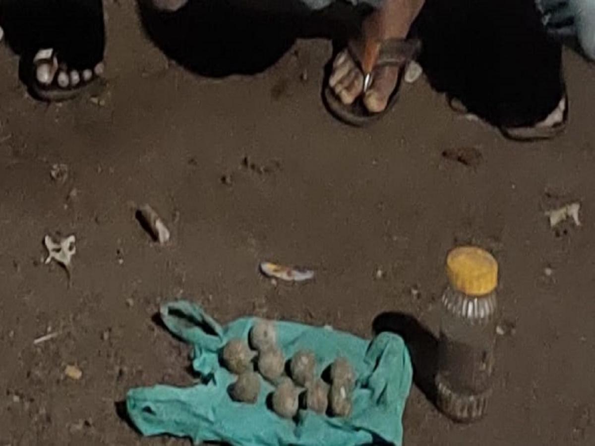 हातखंबा येथे ९ जिवंत गावठी बाॅम्ब जप्त, वेंगुर्ल्याचे दाेघे ताब्यात ...