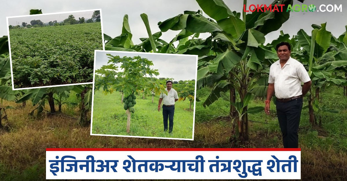 थेट विक्रीचा होतोय फायदा; महिन्याला ५० ते ६० हजारांची कमाई करणाऱ्या ...