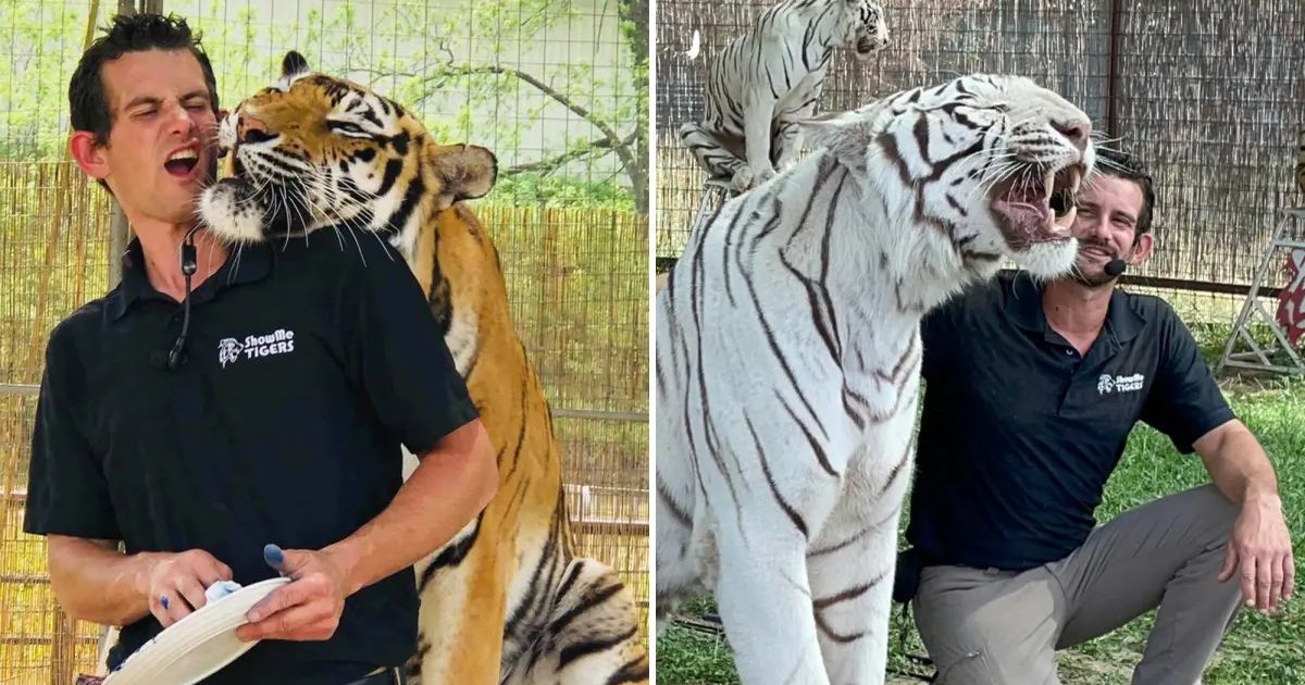 दुर्दैवी अंत! ज्याच्या इशाऱ्यावर 'वाघ' उठबस करायचा, त्याच मालकाला ...