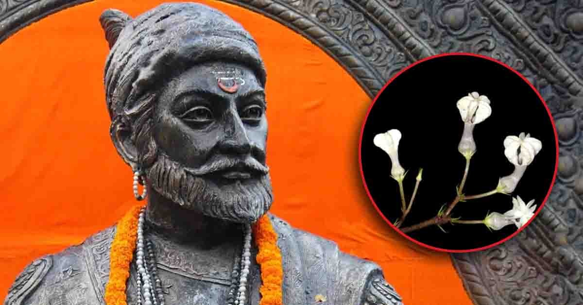 Chhatrapati Shivaji Maharaj: वनस्पतींना संरक्षण द्या! महाराजांची भावना ...