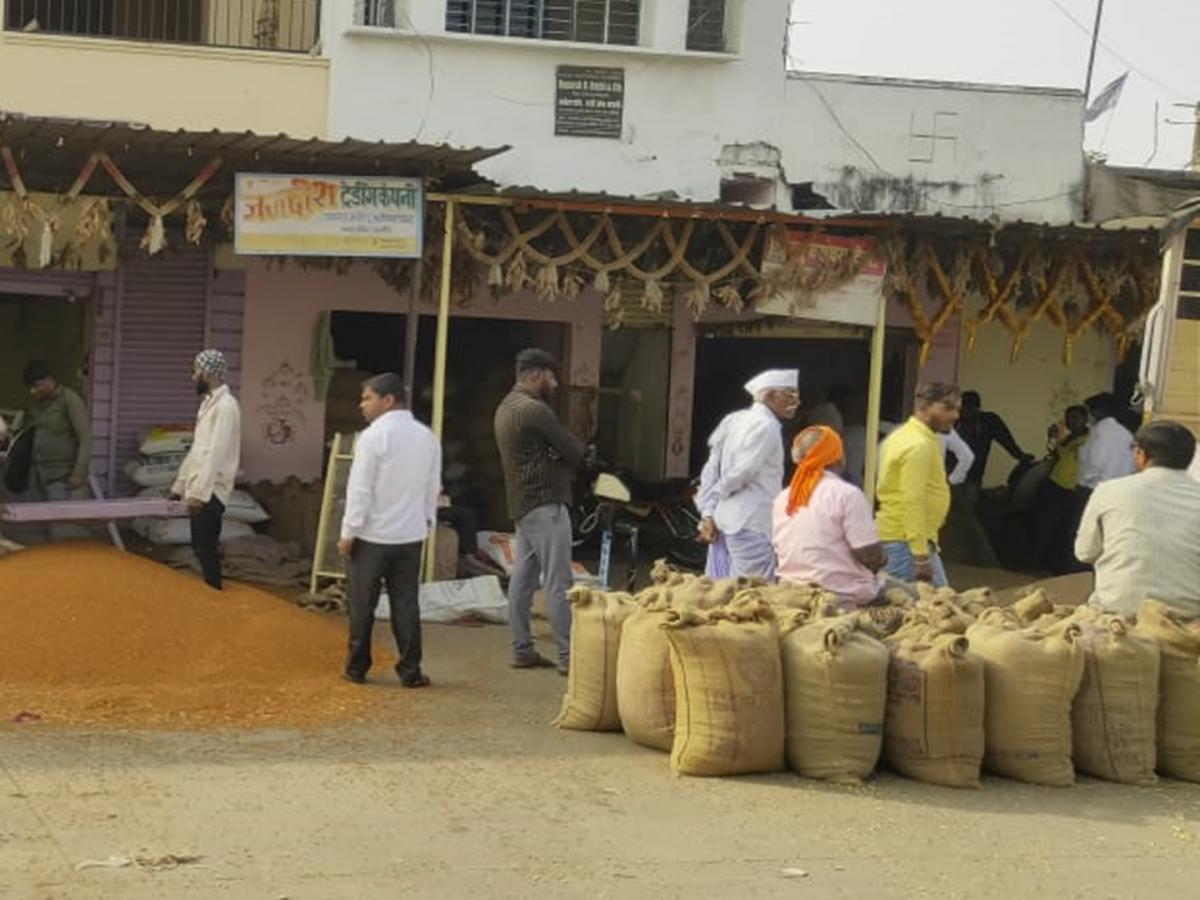 सोयाबीन, तुरीच्या दरात घसरण सुरूच; दरवाढीच्या आशेवर थांबलेल्या ...