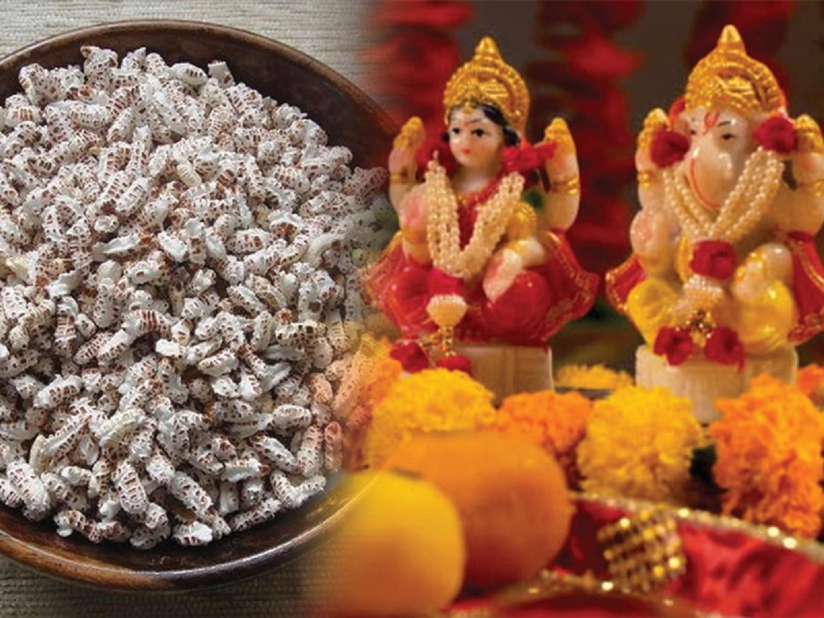 लक्ष्मीपूजनाला का दाखवतात साळीच्या लाह्यांचा नैवेद्य; आरोग्यासाठी ५ ...