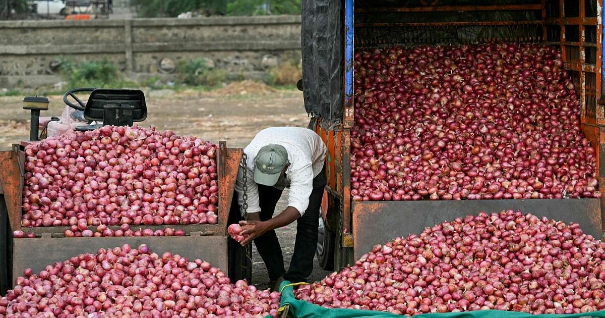 कांद्यावरील किमान निर्यात मूल्य हटवले; केंद्राकडून निर्यात शुल्कातही २०% कपात Maharashtra ...
