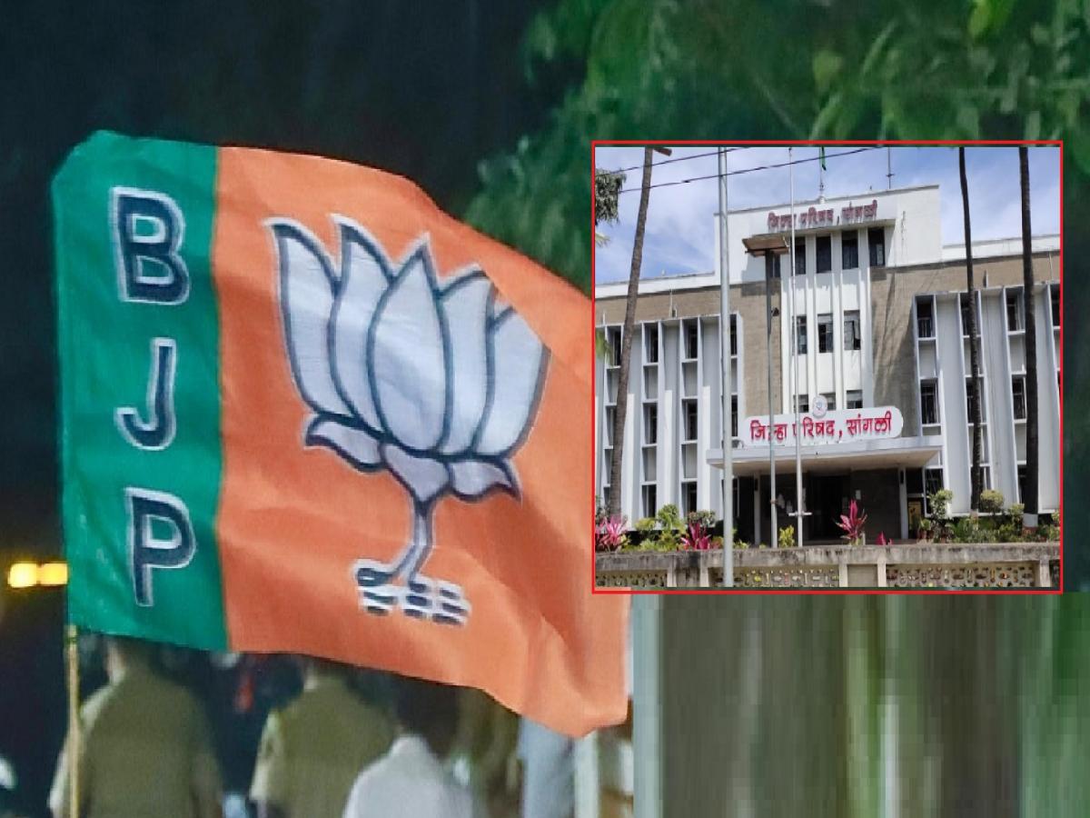 ZP Election 2026: सांगलीत भाजपची वेगळी रणनीती; वाळव्यात युती, अन्यत्र ...