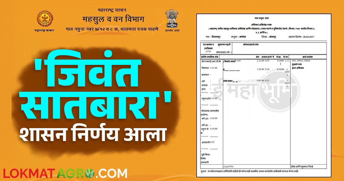 गावातील सर्व मयत खातेदारांच्या सातबारावरील वारसांच्या नोंदीसाठी मोठी ...
