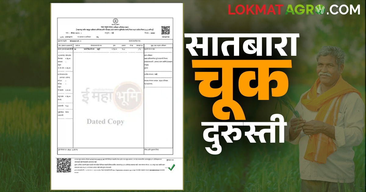 Satbara Durusti : सातबाऱ्यात चूक असेल तर दुरुस्त कशी करायची? वाचा ...