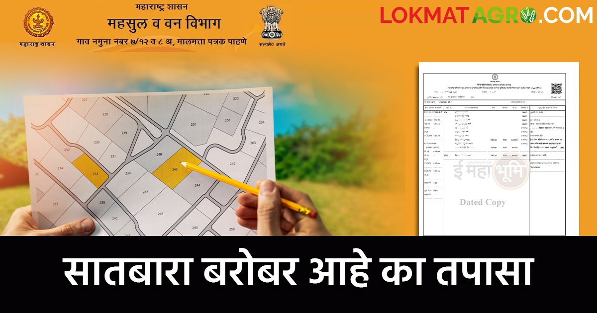 सातबारा उताऱ्यांमध्ये चुका; पुणे विभागात ५० हजार सातबारा उतारे सदोष ...