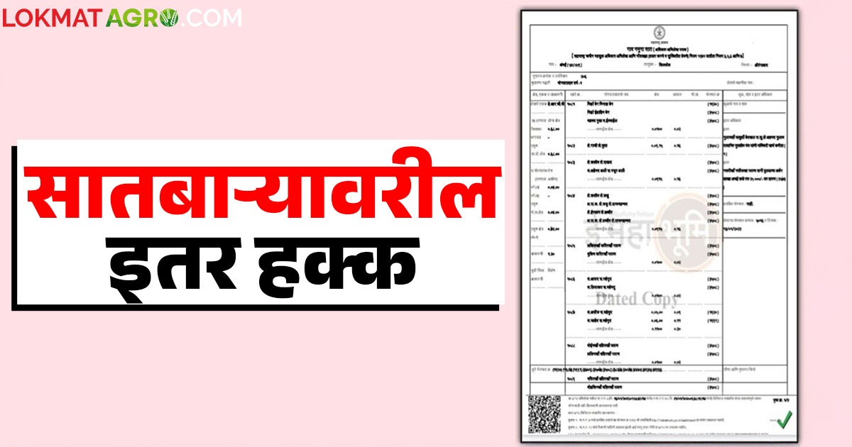 सातबाऱ्यावरील इतर हक्कांतील नावे कायदेशीररीत्या कमी करायचीत? कशी कराल ...