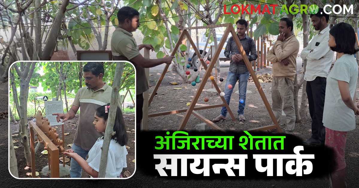 Farmer Success Story : निफाडच्या तरुणाने अंजिराच्या शेतात उभारला सायन्स ...