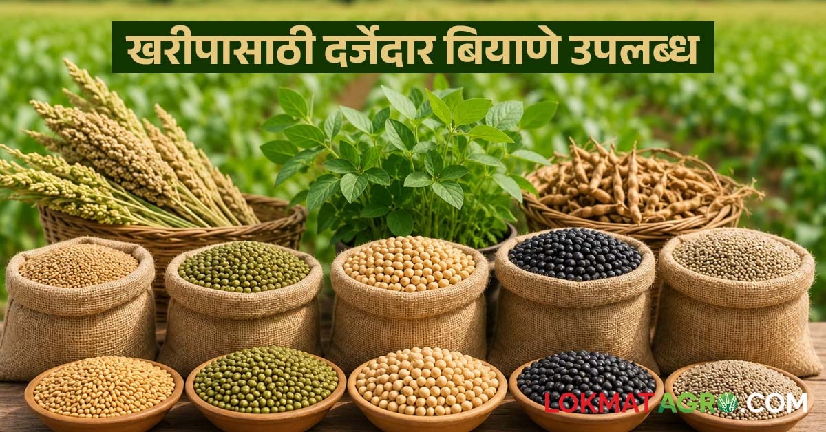 latest news Seed Rate: Parbhani Agricultural University announces seed ...