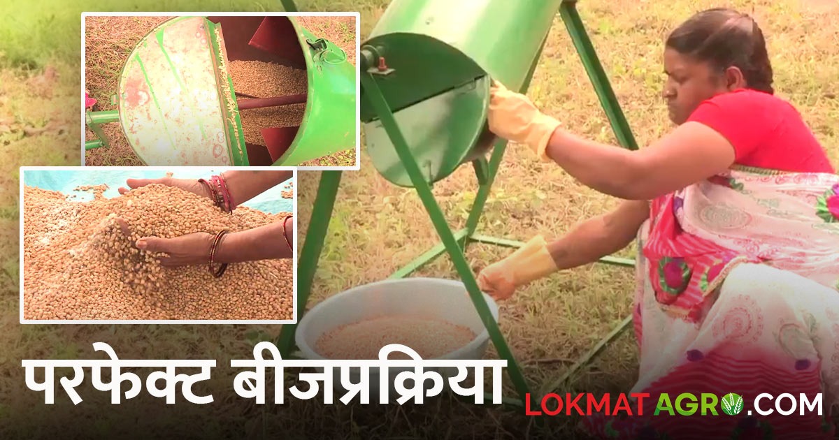 Beej Prakriya : बीजप्रक्रियेचे चांगले रिजल्ट मिळण्यासाठी प्रक्रिया ...