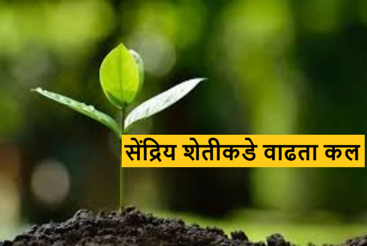 Organic Farming : शेतकरी ते ग्राहक थेट विक्री, गोंदियातील शेतकऱ्यांना ...