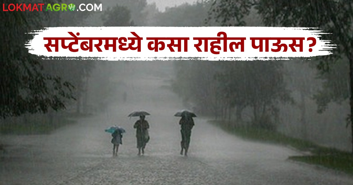 सप्टेंबर महिन्यात कसा राहील पावसाचा अंदाज? काय सांगतायत हवामान तज्ञ ...