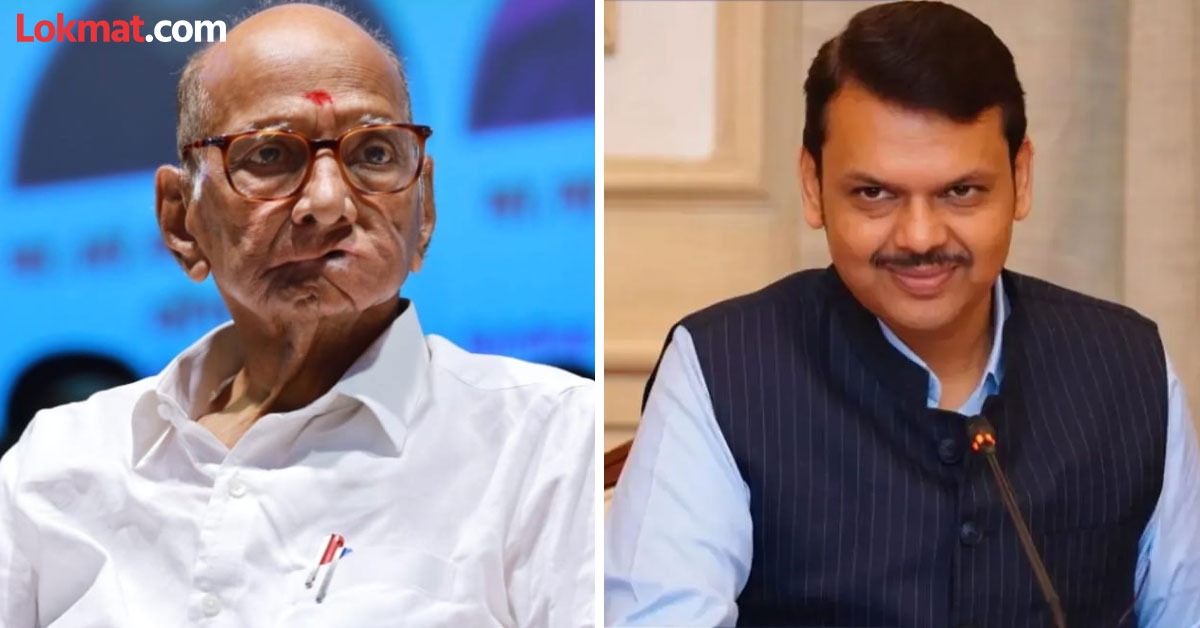 आष्टीत चुरशीची लढाई होणार: पवारांच्या तरुण शिलेदाराविरोधात भाजपकडून ...